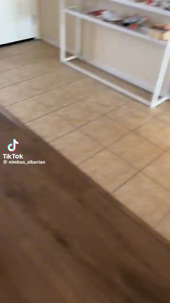 Ff Tik Tok @nimbes siberian - iFunny