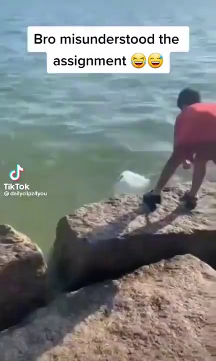 Bro misunderstood the assignment TikTok - iFunny
