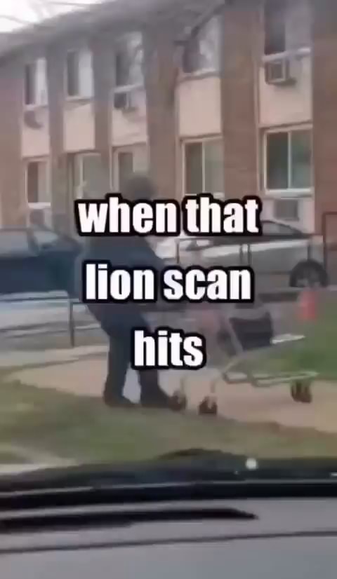 When thai lion scan hits - iFunny