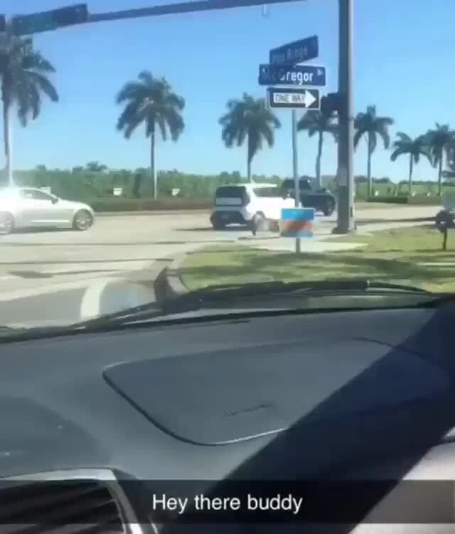 Hey there buddy - iFunny