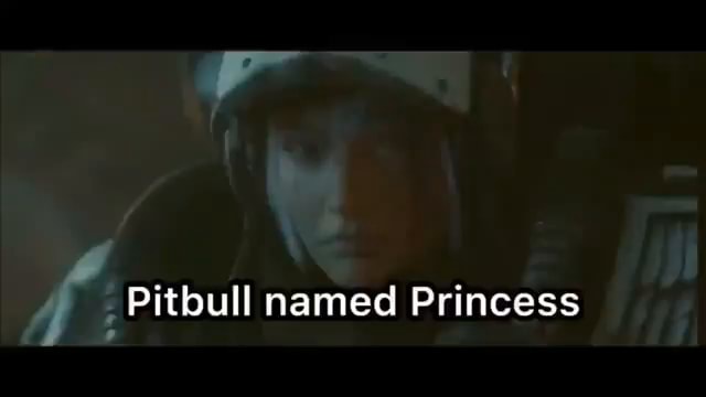 Pitbull named Princess - iFunny
