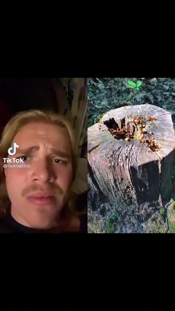 Video memes Hsps77659 by Goobfish - iFunny