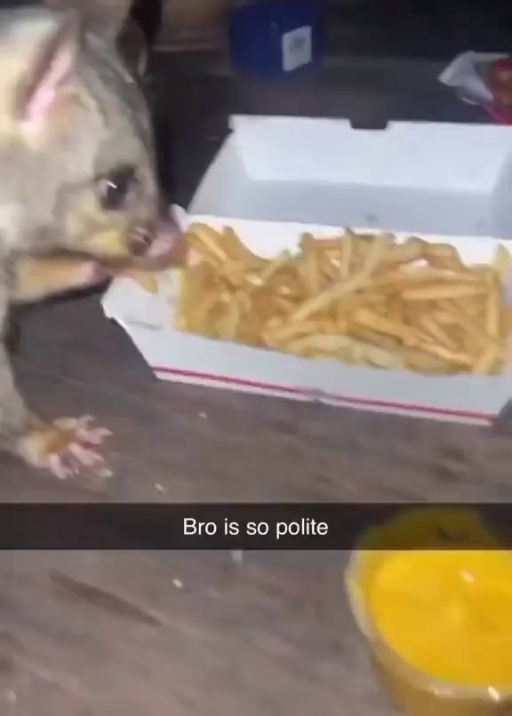 Bro is so polite - iFunny