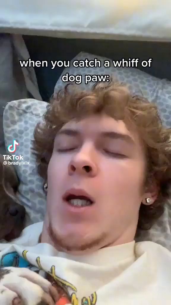 When you catch a whiff of dog paw: cf TikTok bradyixix - iFunny