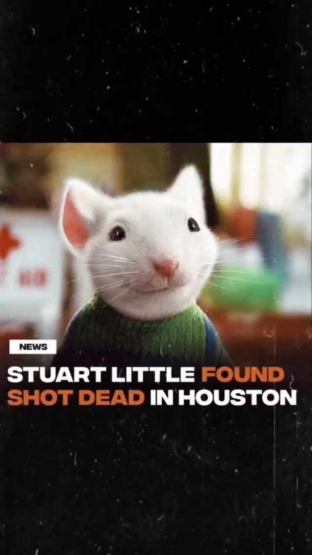 NEWS STUART LITTLE FOUND SHOT DEAD IN HOUSTON - iFunny