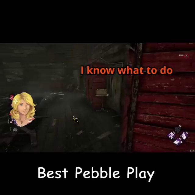 Know what to do as Best Pebble Play - iFunny