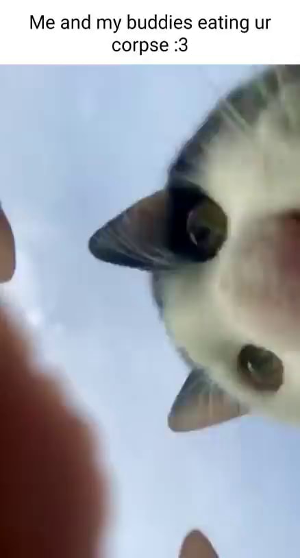 Me and my buddies eating ur corpse :3 - iFunny