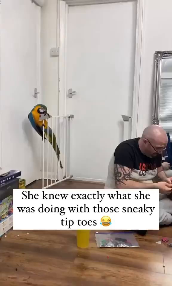 She knew exactly what she was doing with those sneaky I tip toes - iFunny