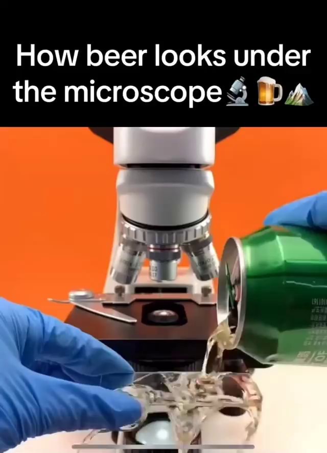 How beer looks under the microscope - iFunny