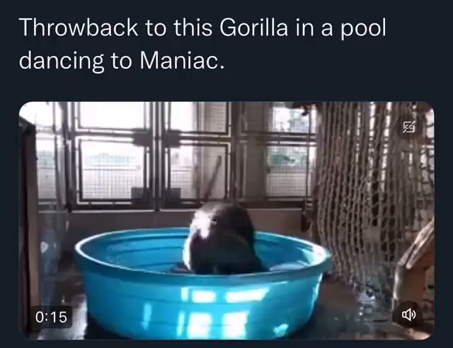 Throwback to this Gorilla in a pool dancing to Maniac. - )