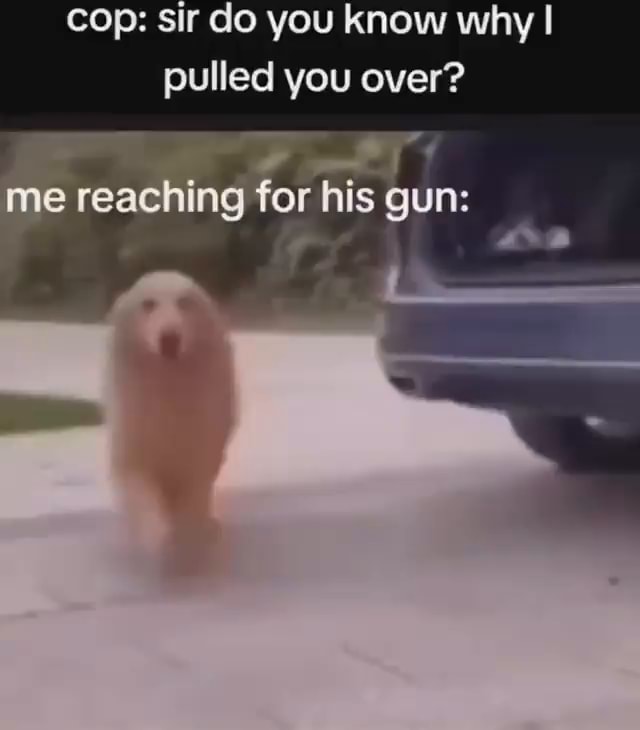 Cop: sir do you know why I pulled you over? me reaching for his gun ...
