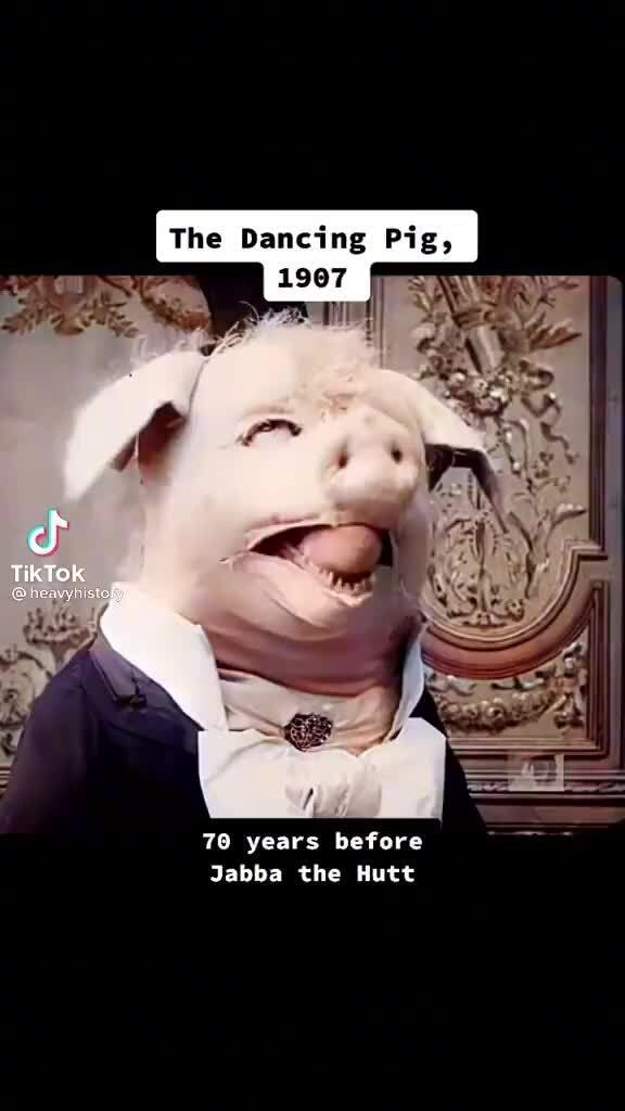 The Dancing Pig, 1907 - The Dancing Pig, 70 years before Jabba the Mutt - iFunny Brazil