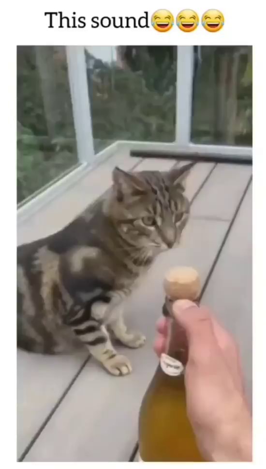 AA This sound - iFunny