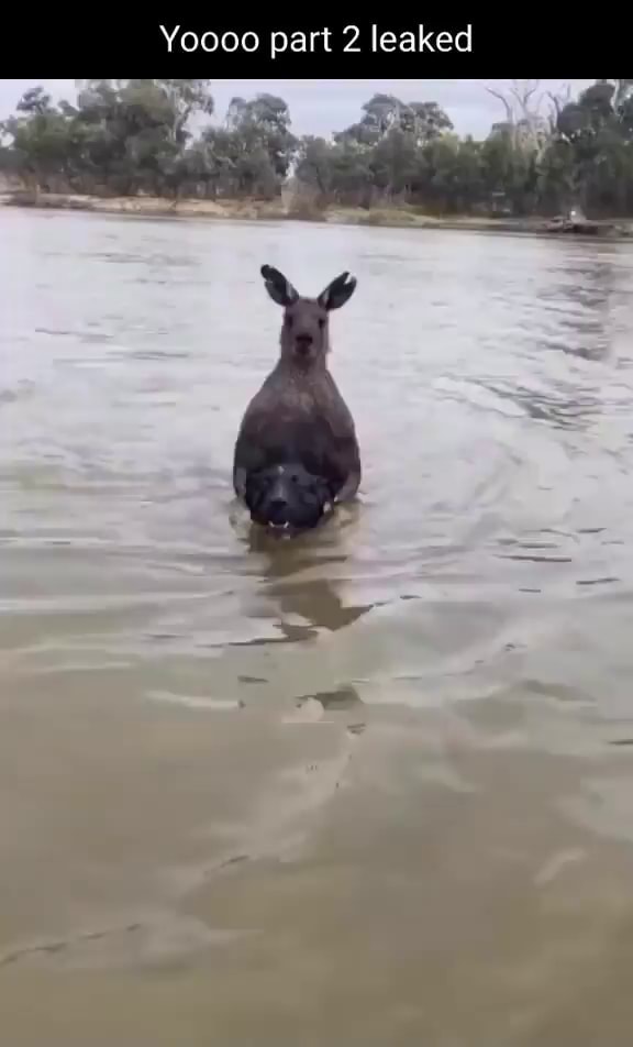 Yoooo part 2 leaked - iFunny