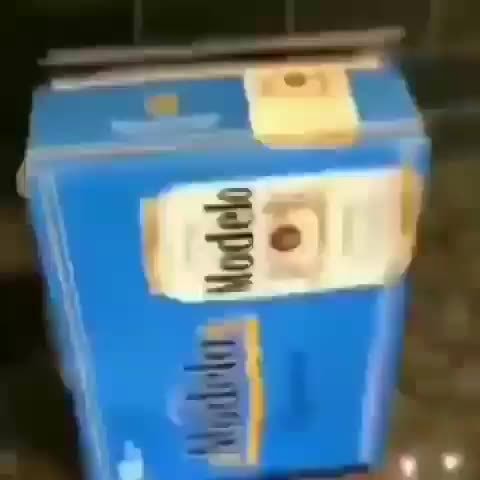 Modelo Time - iFunny