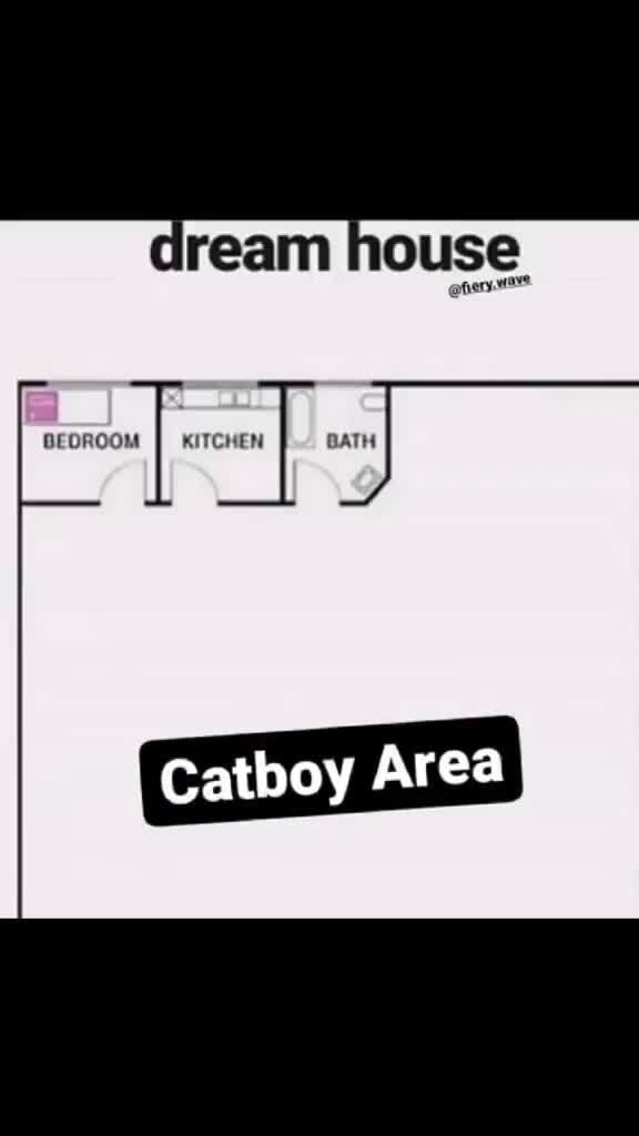 Ream house Catboy Area - iFunny