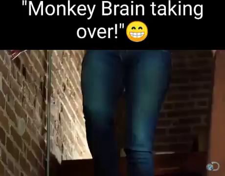 "Monkey Brain taking over!"@ - iFunny