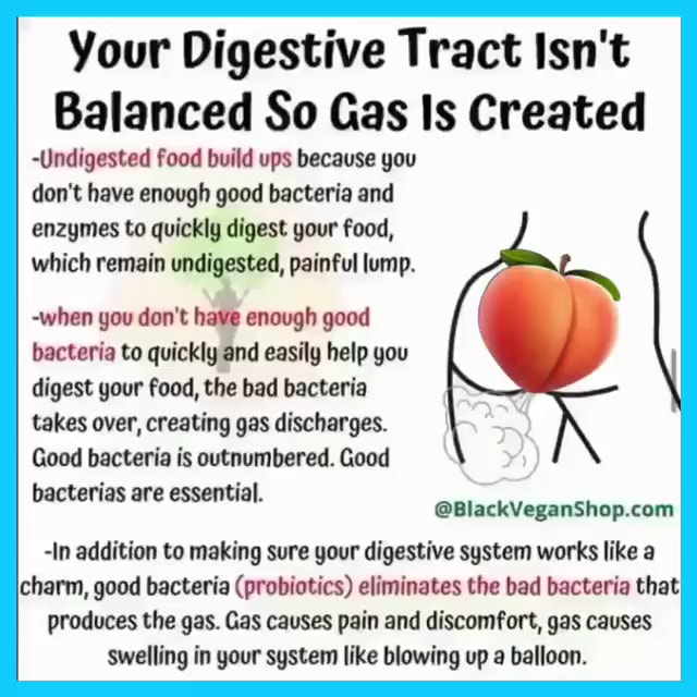 Your Digestive Tract Isn't Balanced So Gas Is Created -Undigested food ...