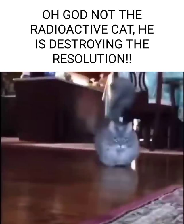 OH GOD NOT THE RADIOACTIVE CAT, HE IS DESTROYING THE RESOLUTION!! I ...