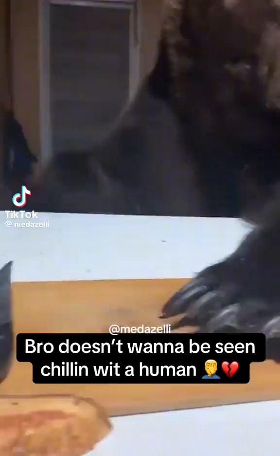 @medcazelli Bro doesn't wanna be seen chillin wit a human - iFunny