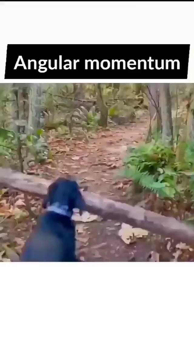 Angular momentum - iFunny