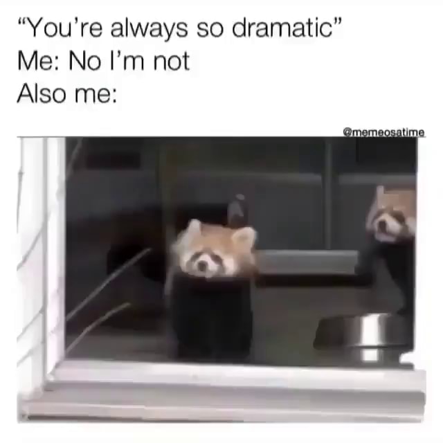 Youre Always So Dramatic Me No Im Not Also Me Ifunny