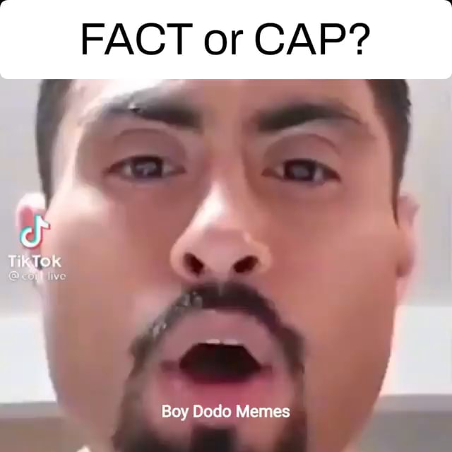 FACT or CAP? Boy Dodo Memes - iFunny