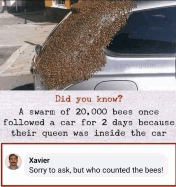 Did you know? A swarm of 20,000 bees once followed a car for 2 days ...