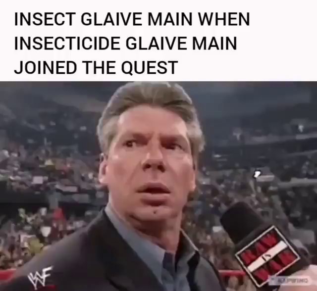 INSECT GLAIVE MAIN WHEN INSECTICIDE GLAIVE MAIN JOINED THE QUEST - iFunny
