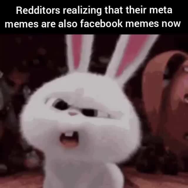 Redditors realizing that their meta memes are also facebook memes now ...