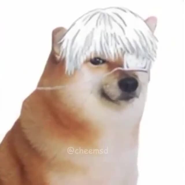 Cheems Anime - iFunny