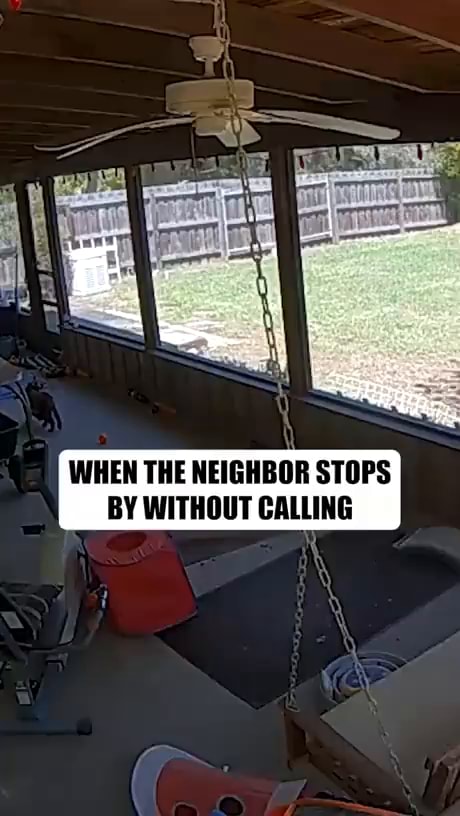 WHEN THE NEIGHBOR STOPS BY WITHOUT CALLING - iFunny