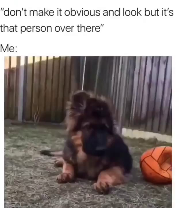 "don't make it obvious and look but it's hat person over there" Me ...