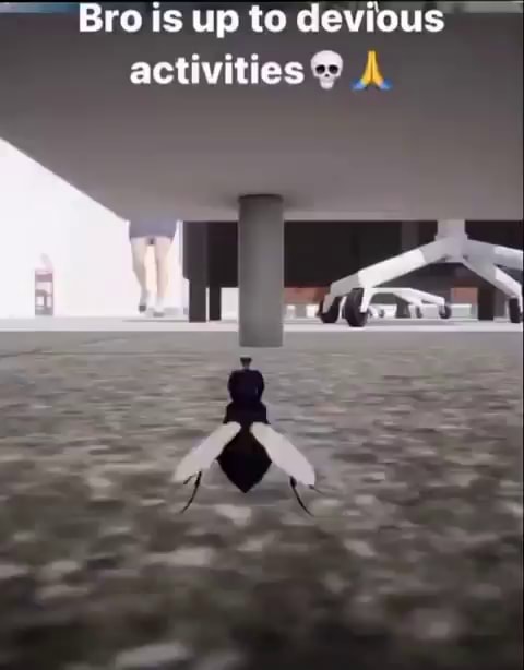 Bro is up to devious activities - iFunny