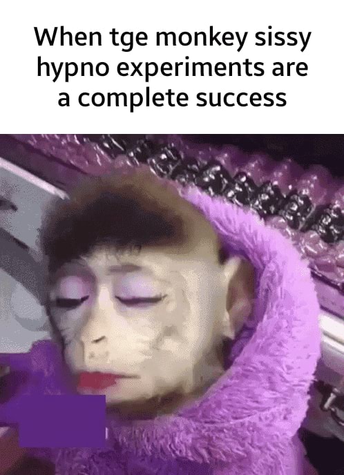 When tge monkey sissy hypno experiments are complete success - iFunny