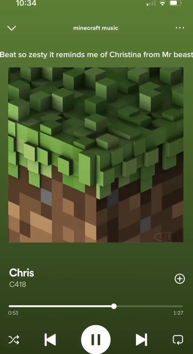 Minecraft music Beat so zesty it reminds me of Christina from Mr beast ...
