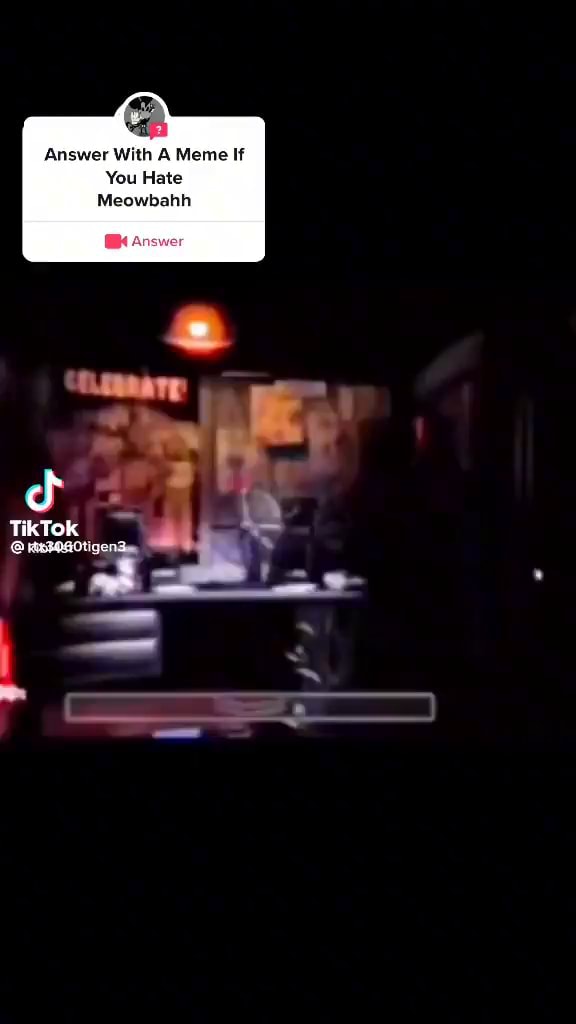 Answer With A Meme If You Hate Meowbahh TikTok - iFunny