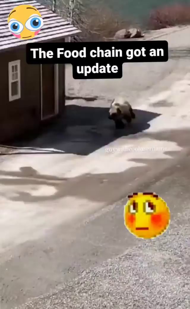 The Food chain got an update - iFunny