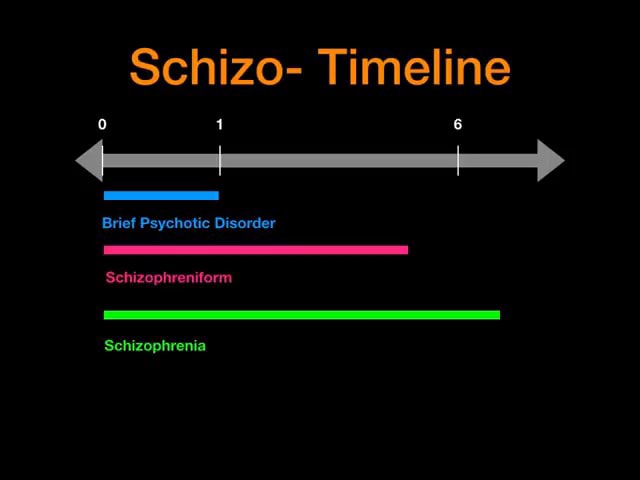 Schizo- Timeline Brief Psychotic Disorder form Schizophrenia - iFunny