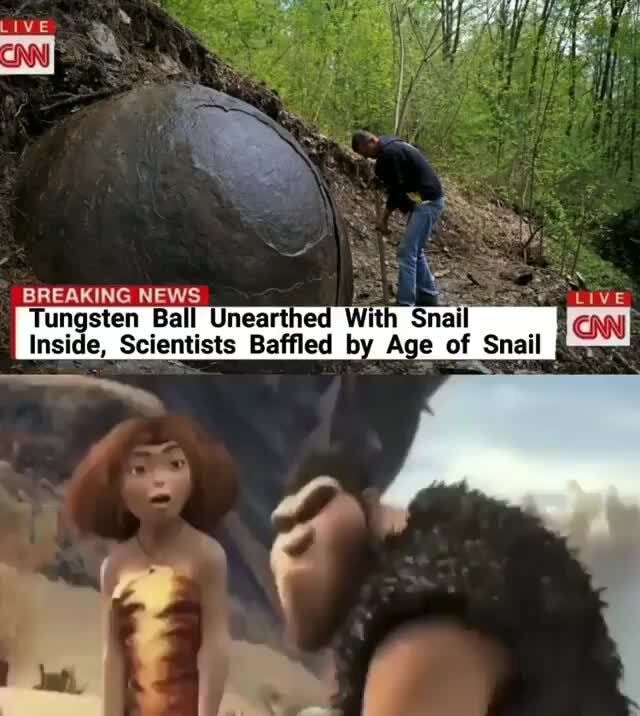 LIVE BREAKING NEWS Tungsten Ball Unearthed With Snail Inside ...