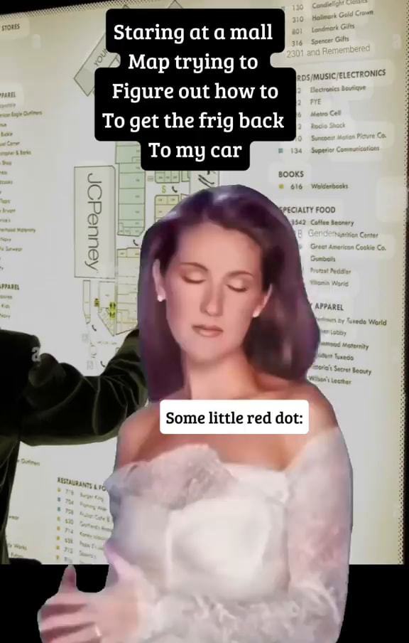 Staring at mall Map trying to Figure out how to To get the frig back To ...