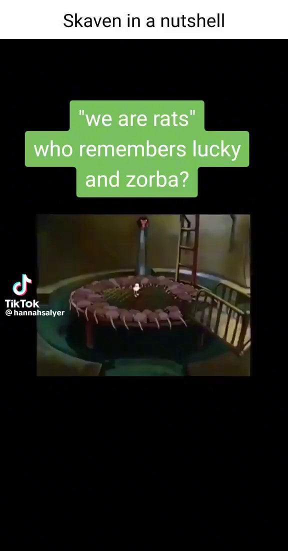 Skaven in a nutshell "we are rats" who remembers lucky and zorba? @hannahsalyer - iFunny