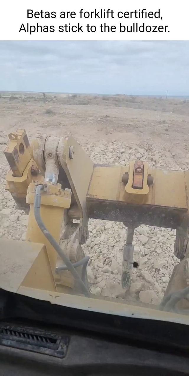 Betas are forklift certified, Alphas stick to the bulldozer. - iFunny