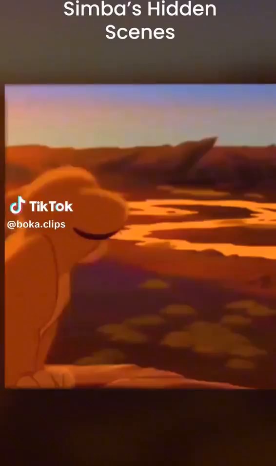 Simba's Hidden Scenes ch TikTok bees ps - iFunny