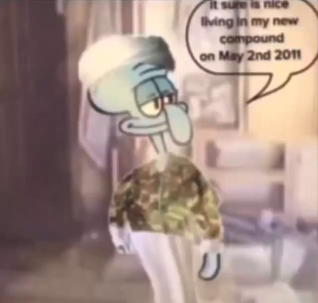 Video memes m2KE0JokA by Spoogy - iFunny