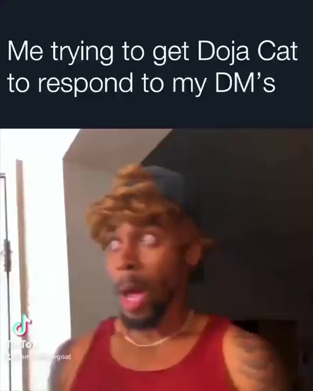 Me trying to get Doja Cat to respond to my DM's - iFunny