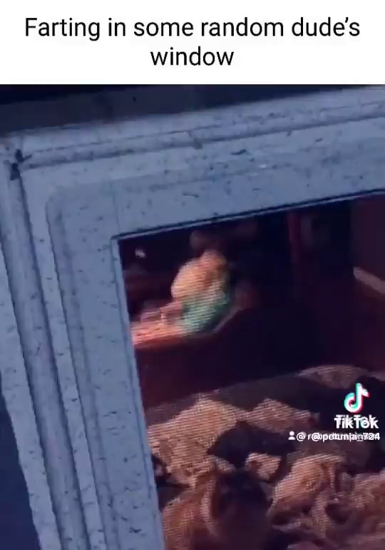 Farting in some random dude's window TikTOk - iFunny