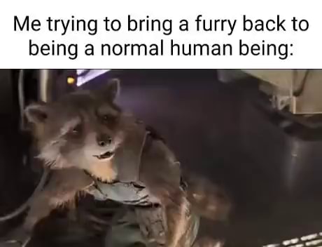 Me trying to bring a furry back to being a normal human being: - iFunny