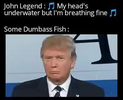 John Legend : My head's underwater but I'm breathing fine Some Dumbass ...