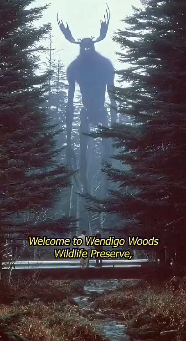 Lp Welcome ta" Wildlife Preserve, - iFunny